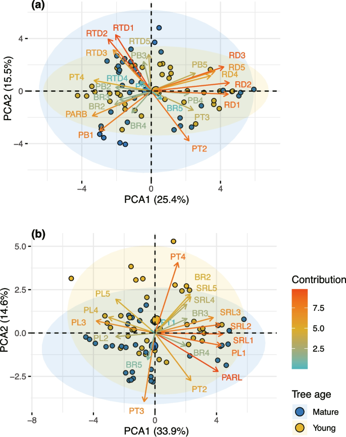 Anatomically defined absorptive fine roots are modulated by root-order ...