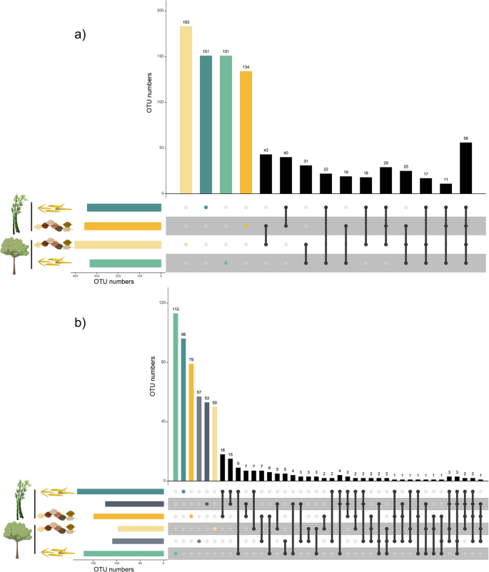 Litter quality drives soil fauna species replacement without altering ...