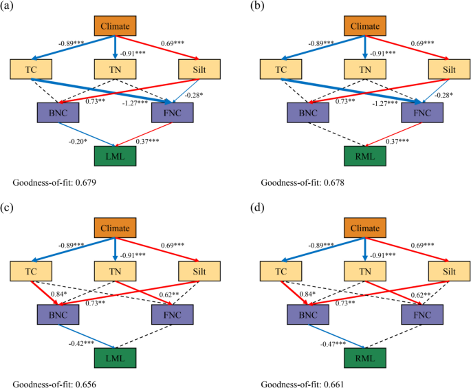 Latitudinal patterns of first-order root and leaf litter decomposition ...
