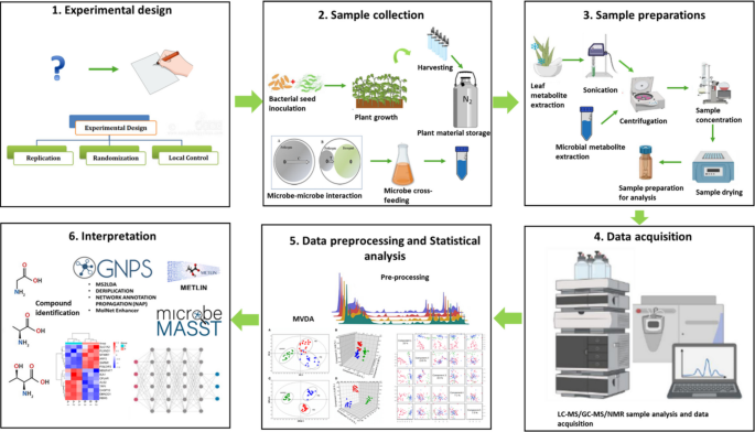 Chemical dialogues in the rhizosphere: Metabolomics perspectives on ...