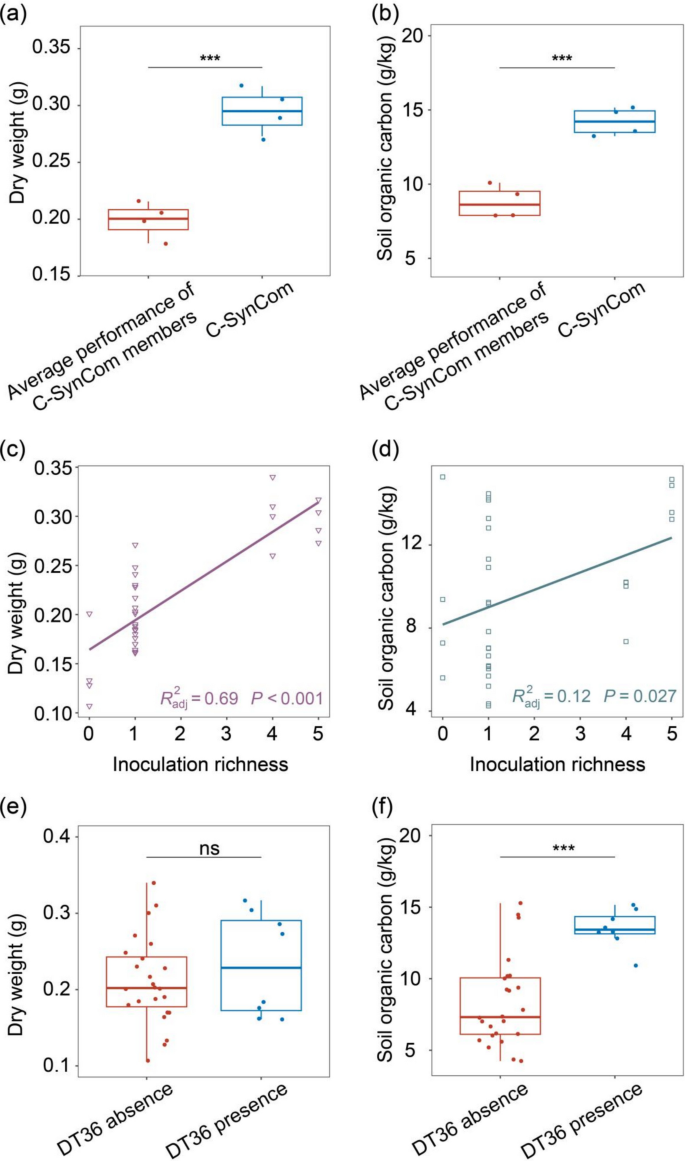 Dual-beneficial synergistic Trichoderma-bacterial cross-kingdom SynCom ...