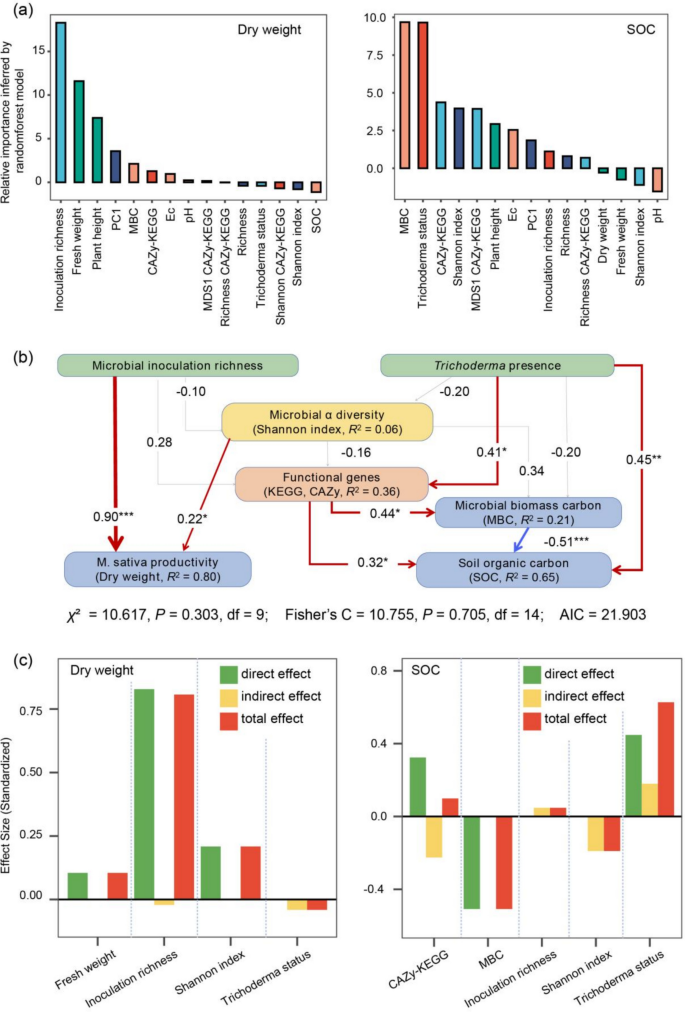 Dual-beneficial synergistic Trichoderma-bacterial cross-kingdom SynCom ...