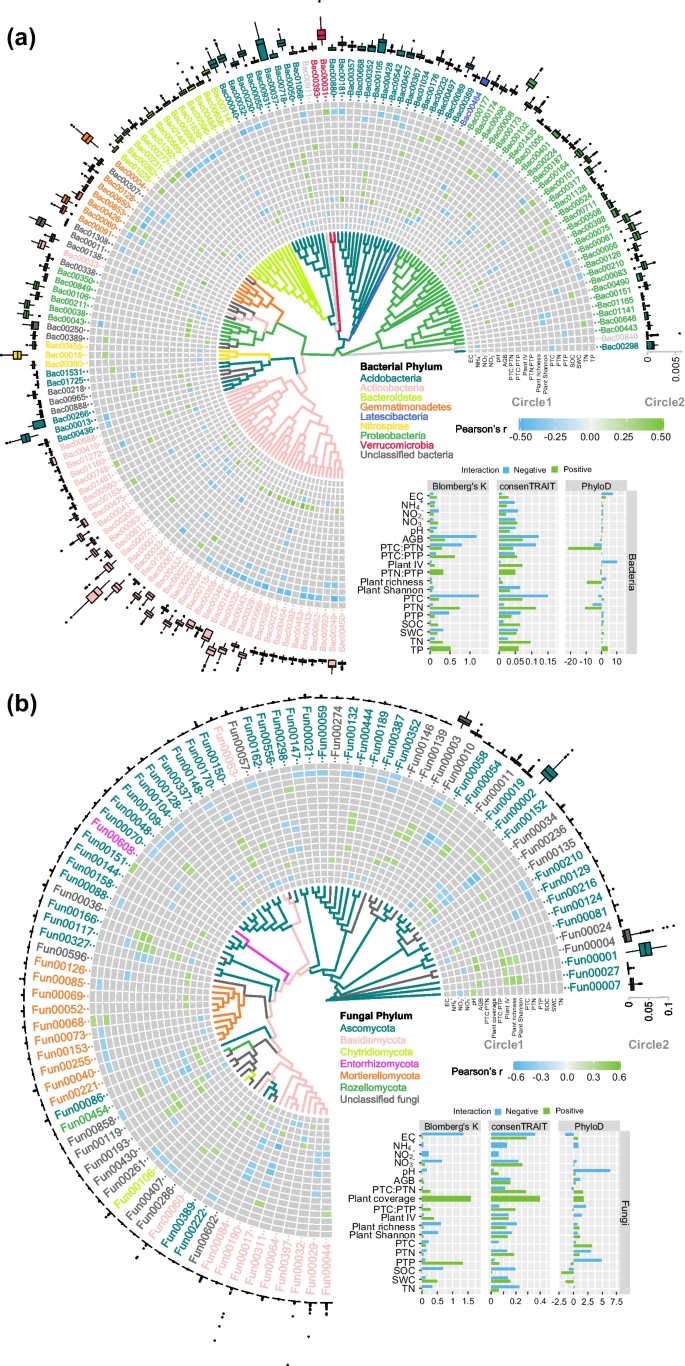 Ecological determinants and phylogenetic insights into soil microbial ...