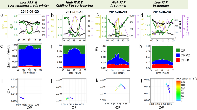 A practical guide to long-term field PAM chlorophyll fluorescence ...