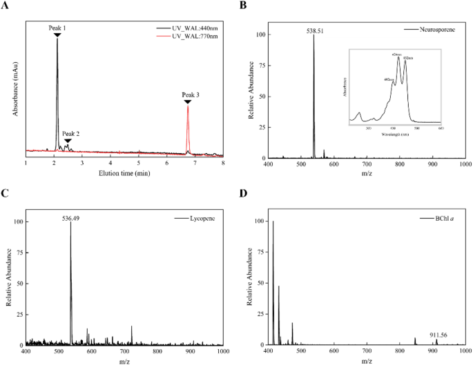 Molecular and structural insights into neurosporene accumulation in ...