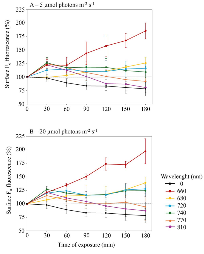 Far-red light regulates phototactic behavior of benthic pennate ...