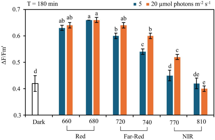 Far-red light regulates phototactic behavior of benthic pennate ...
