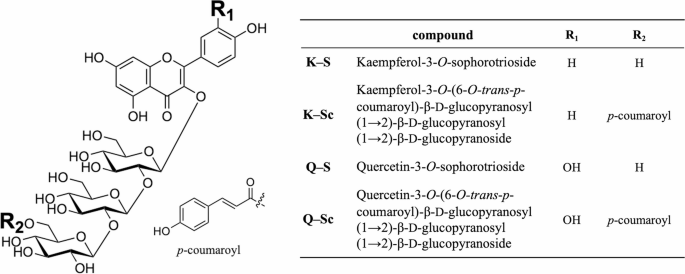 Influence of Cooking Methods on Phenolic Compounds and their Activities ...