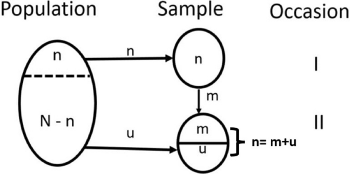 An effective computational and simulation study for population mean ...