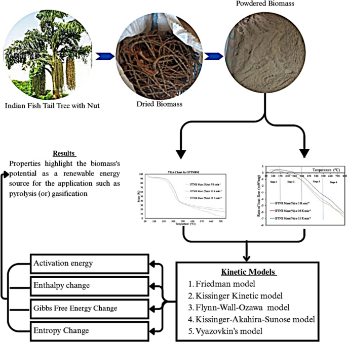 Thermogravimetric assessment and multi-model kinetic study of Indian ...