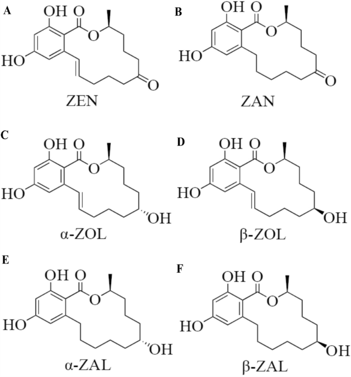 Recent advances in zearalenone degradation: integrating physical ...