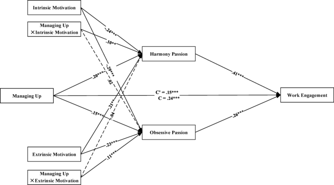 How Managing up Fuels Doctoral Students’ Work Engagement: The Roles of ...