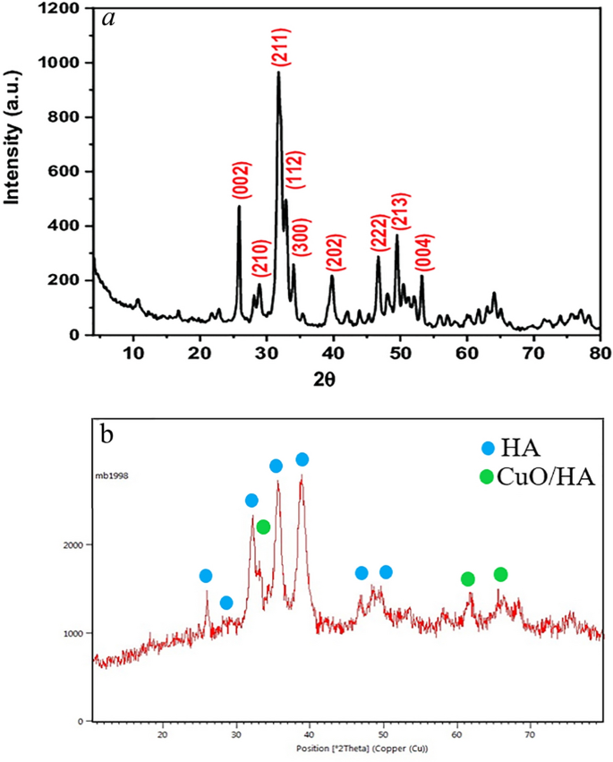 Hydroxyapatite-supported CuO nanoparticles: an efficient catalyst for ...