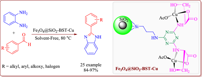 Design and application of silica-coated magnetic Fe3O4 nanoparticles ...