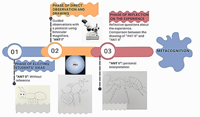 Observation and Scientific Drawing as Practices for Learning Science ...