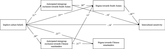The association between implicit culture beliefs and intercultural ...