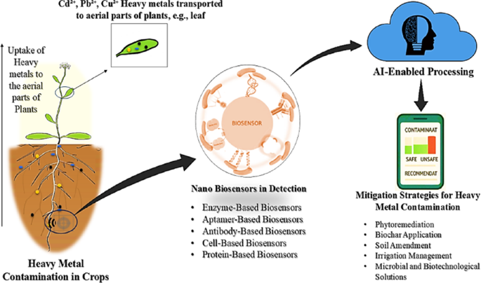 AI-Enabled Nano Biosensors for Estimating Heavy Metal Contamination in ...