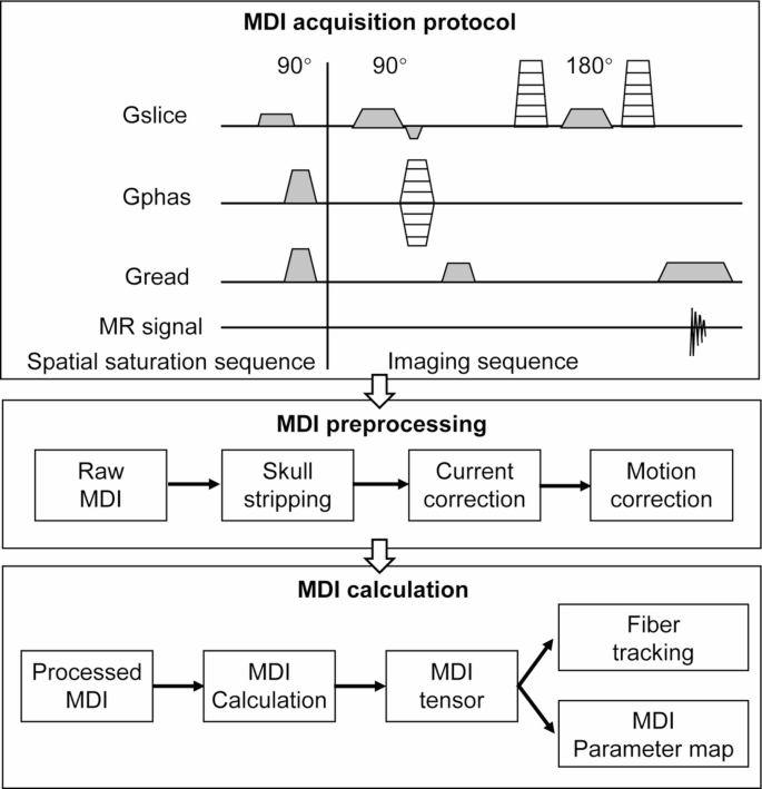 Tractography of Brain Extracellular Space and Nerve Fibers via ...