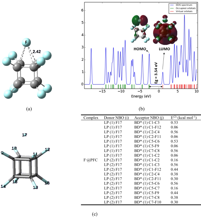 DFT exploration of anion accepting performance of perfluorocubane ...