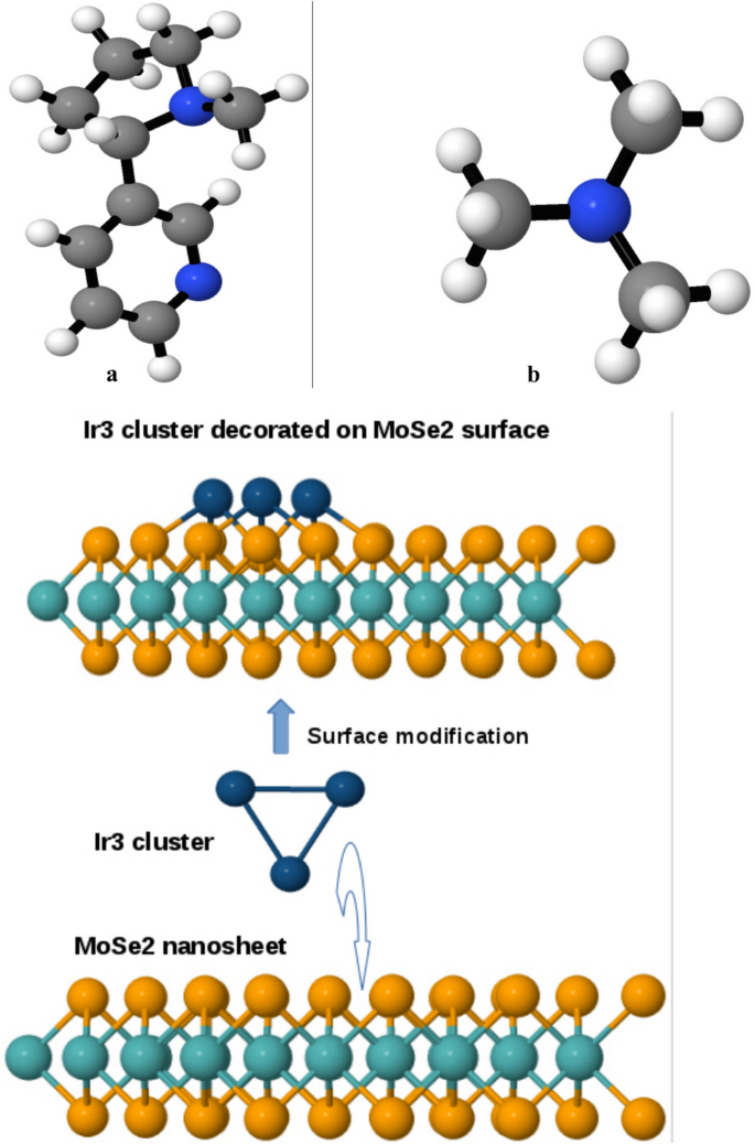 Engineering the structure of MoSe2 monolayers by Irn (n = 1–3) clusters ...