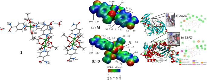 Theoretical and spectroscopic insights into a unique copper(II) carboxylate co-crystal: π ...