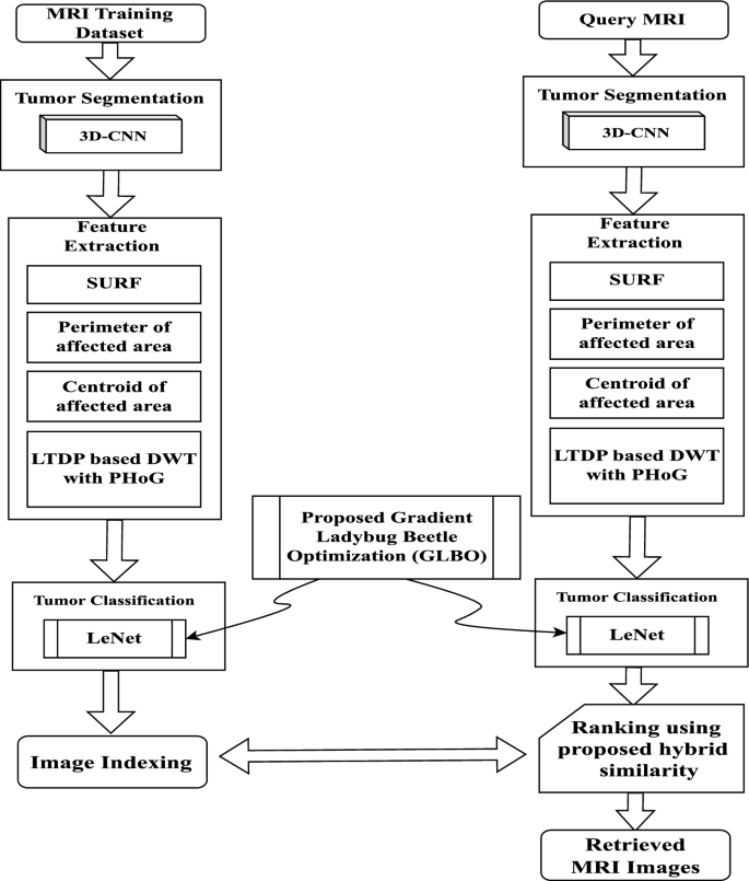 Hybrid similarity measure-based image indexing and Gradient Ladybug Beetle optimization for ...