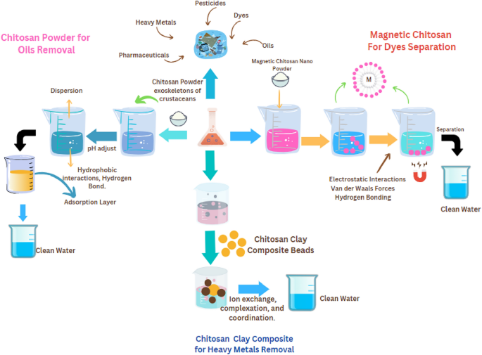 Chitosan-Based Adsorbents and Catalysts for Removal of Toxic Pollutants ...