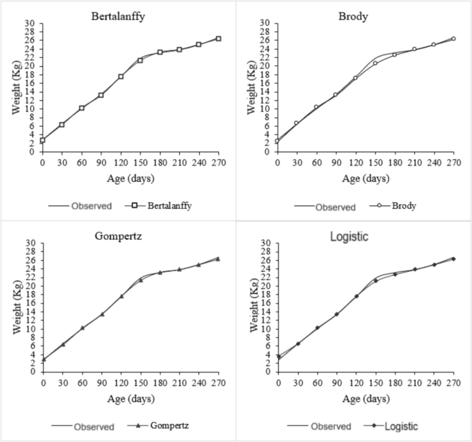Comparative assessment of growth curves in Brazilian white Morada Nova ...