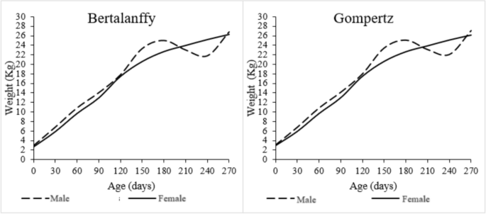 Comparative assessment of growth curves in Brazilian white Morada Nova ...