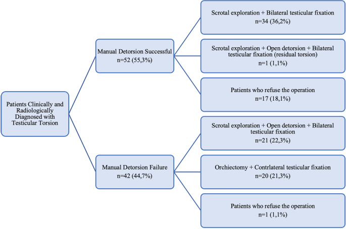 Predictive factors for manual detorsion success in testicular torsion ...