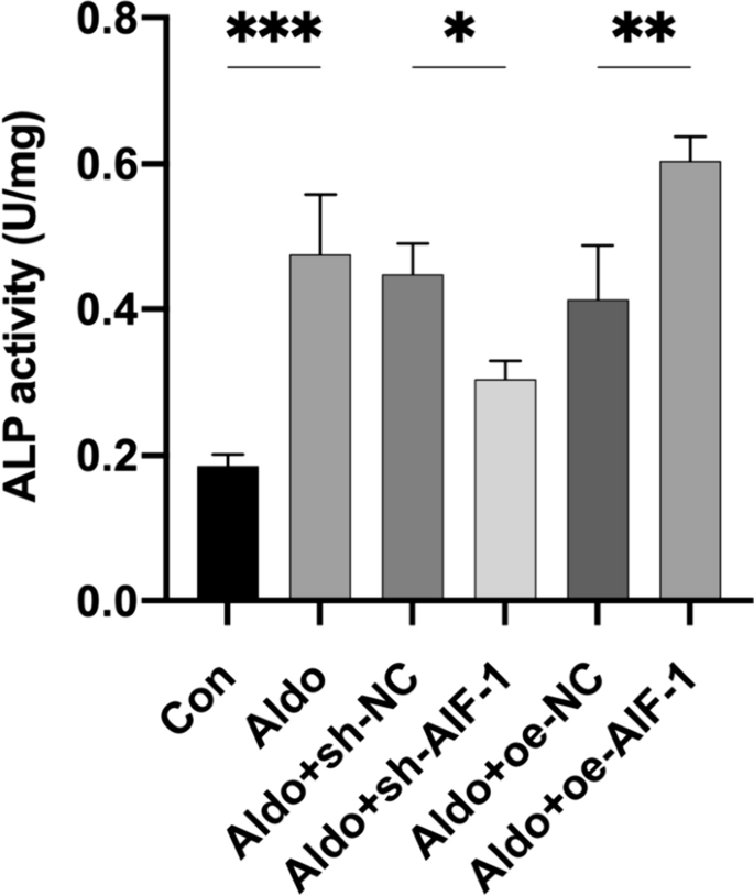 Aldosterone promotes calcification of vascular smooth muscle cells in ...