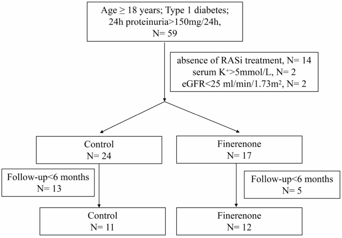 Finerenone in type 1 diabetes and chronic kidney disease: short-term ...