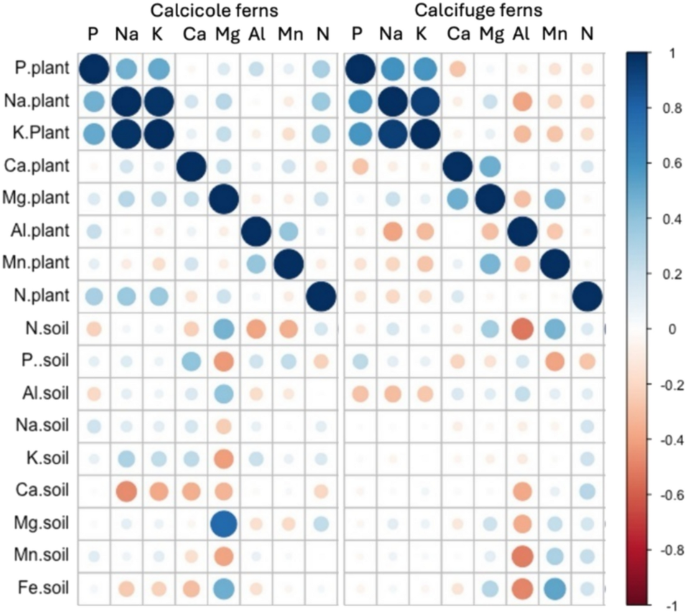 Leaf nutrient composition of calcicole and calcifuge Mexican ferns and ...