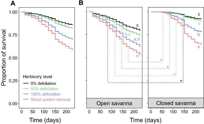 Herbivory intensity and plant species traits interact with tree canopy ...