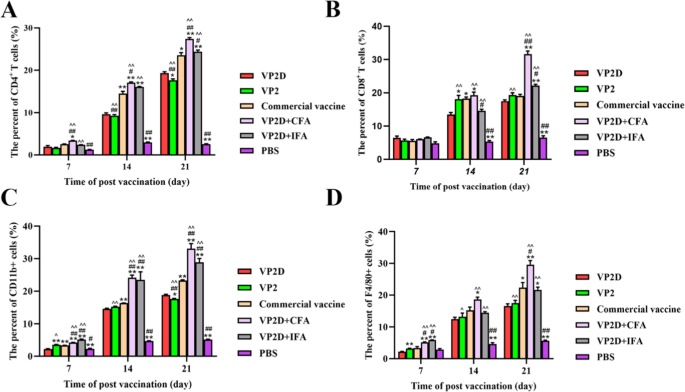 Engineering a recombinant VP2-Based neutralizing epitope vaccine ...