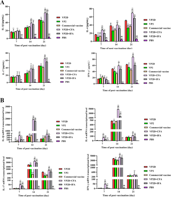 Engineering a recombinant VP2-Based neutralizing epitope vaccine ...