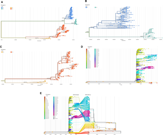 Phylogenetic analyses of the spread of Clade I MPOX in African and non ...