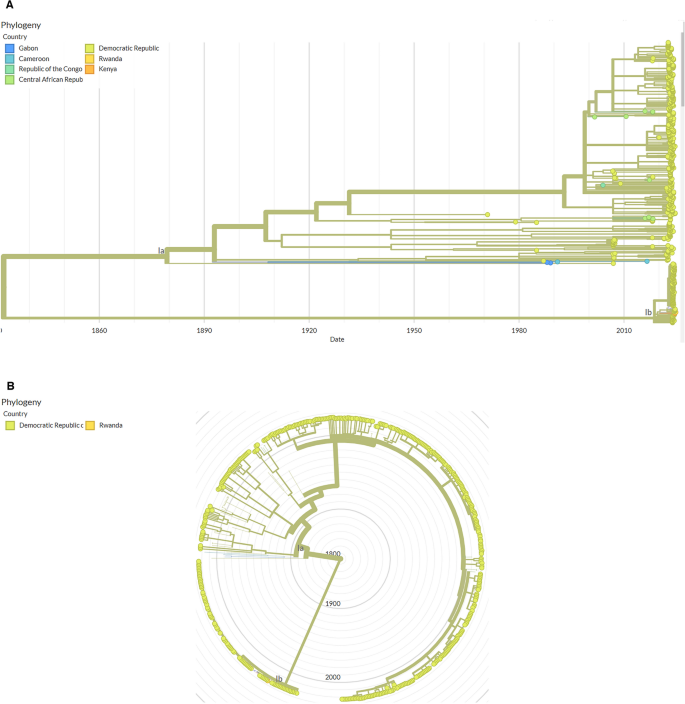 Phylogenetic analyses of the spread of Clade I MPOX in African and non ...