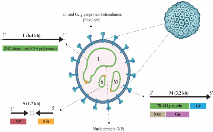 Recent advances in treatment and detection of Rift Valley fever virus ...