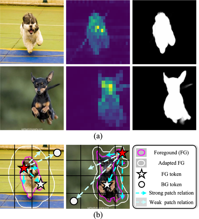 Exploiting Class-agnostic Visual Prior for Few-shot Keypoint Detection ...