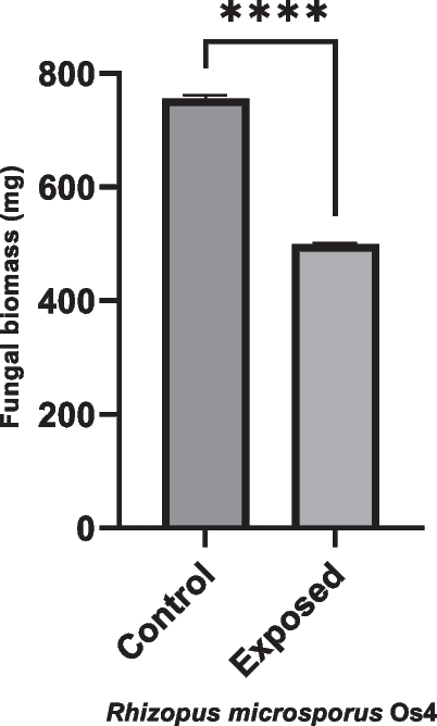 Characterization and evaluation of the bioremediation potential of ...