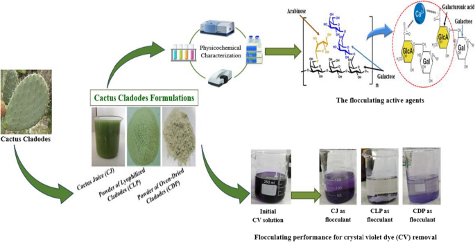Green Flocculants from Cactus Cladodes: Physicochemical ...