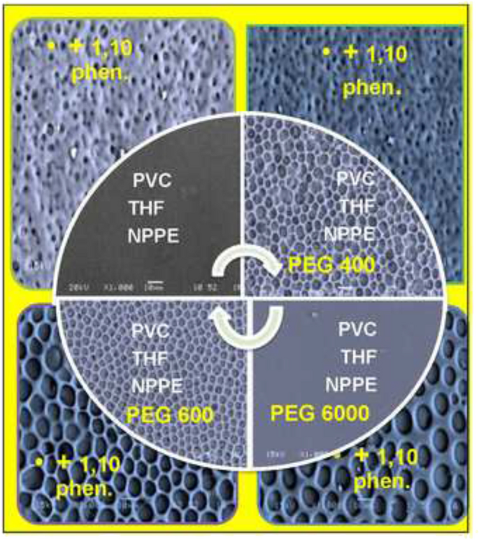 The Effect of a Hydrophilic Polymer on the Morphology of Polymeric ...