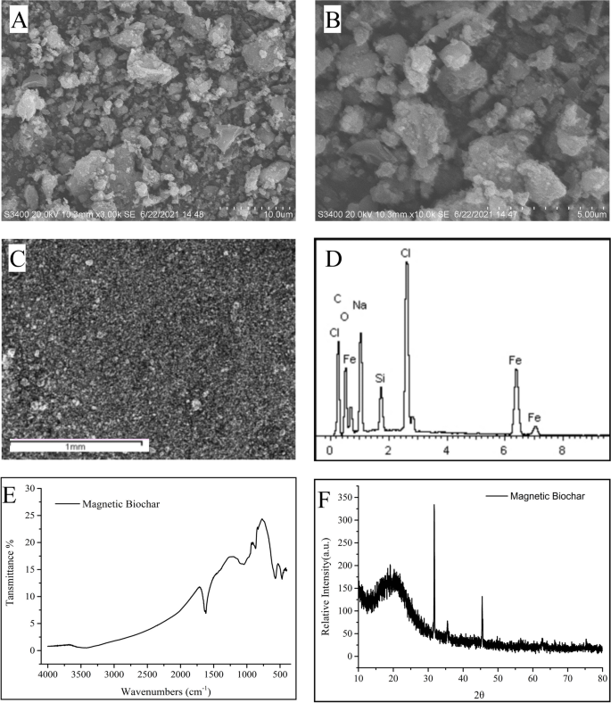 Magnetic Rice Husk Biochar for AFB1 Enrichment in Water, Rice and Maize ...