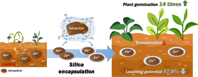 Silica-Based Encapsulation for Immobilizing Heavy Metal Mobility in ...