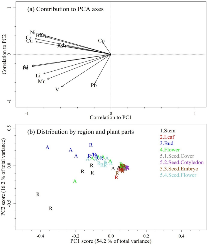 Trace Metal Bioaccumulation Patterns in Avicennia marina Mangroves from ...