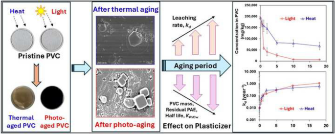 Enhanced Leaching of Plasticizers from Polyvinyl Chloride Plastics ...