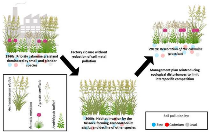 When Biodiversity and Pollution Go Hand in Hand: a Historical ...