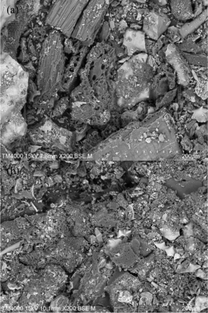 Corn Starch/Soybean Wax Double Coated Biochar-based Controlled-release ...