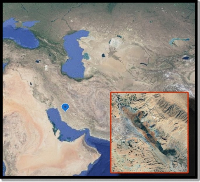 Stakeholder priorities and trade-offs in the sustainable restoration of ...